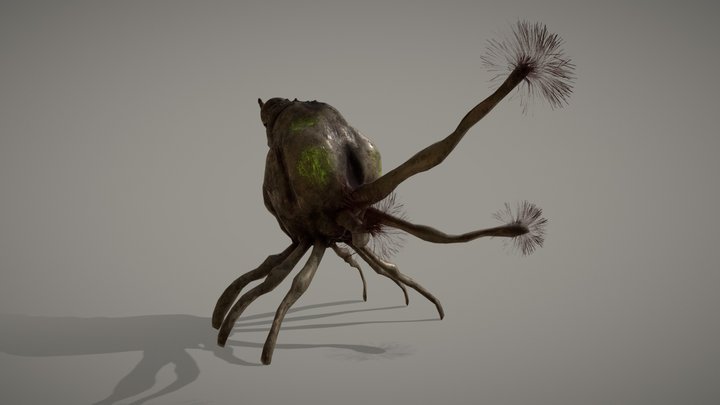 Floods 3D models - Sketchfab