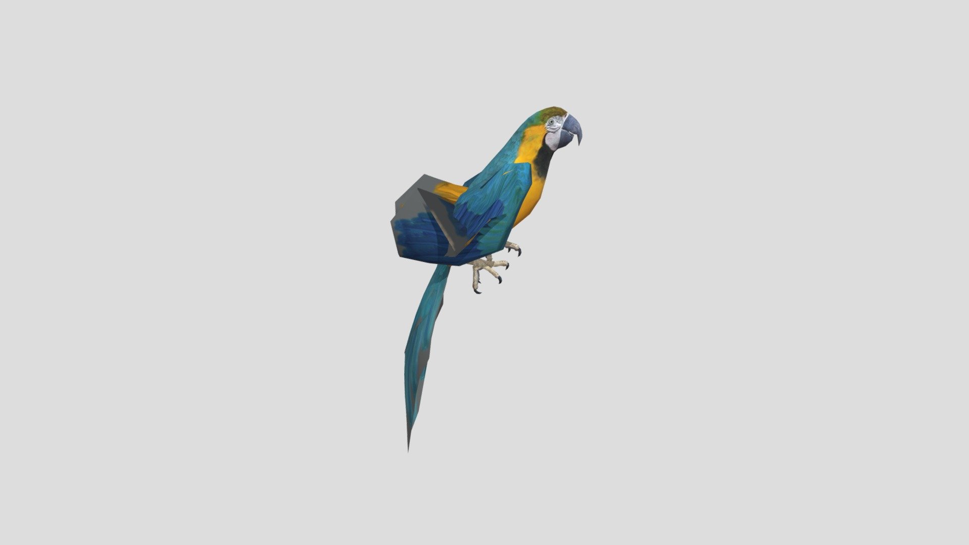 Catch-the-parrot - Download Free 3D model by eyork4633 [a69cf36 ...
