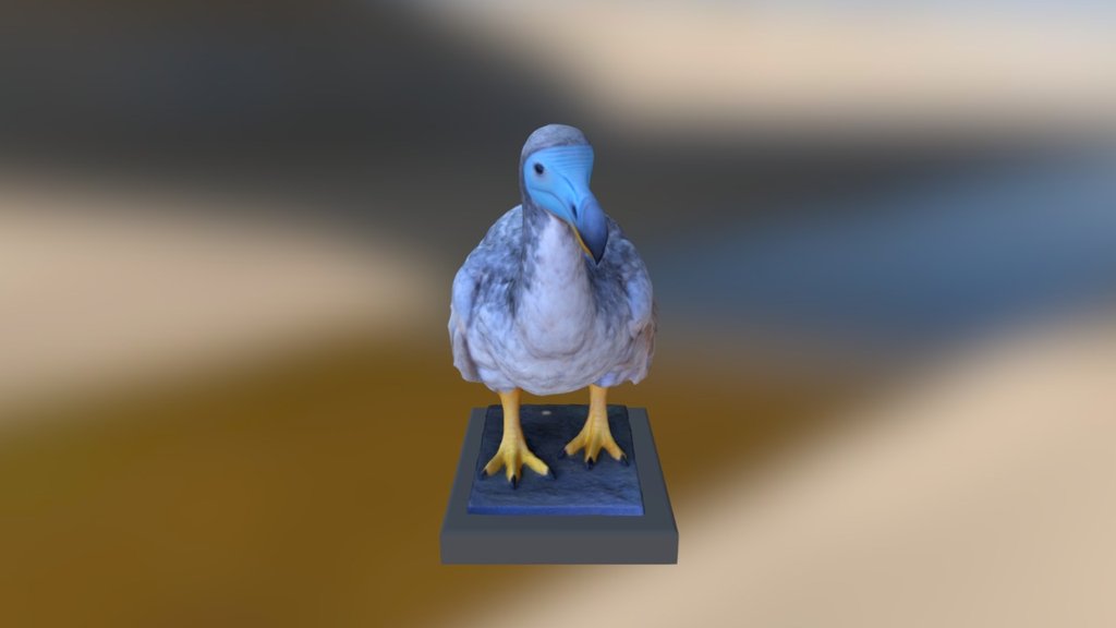 dodo-model - 3D model by pengo [a69ec04] - Sketchfab