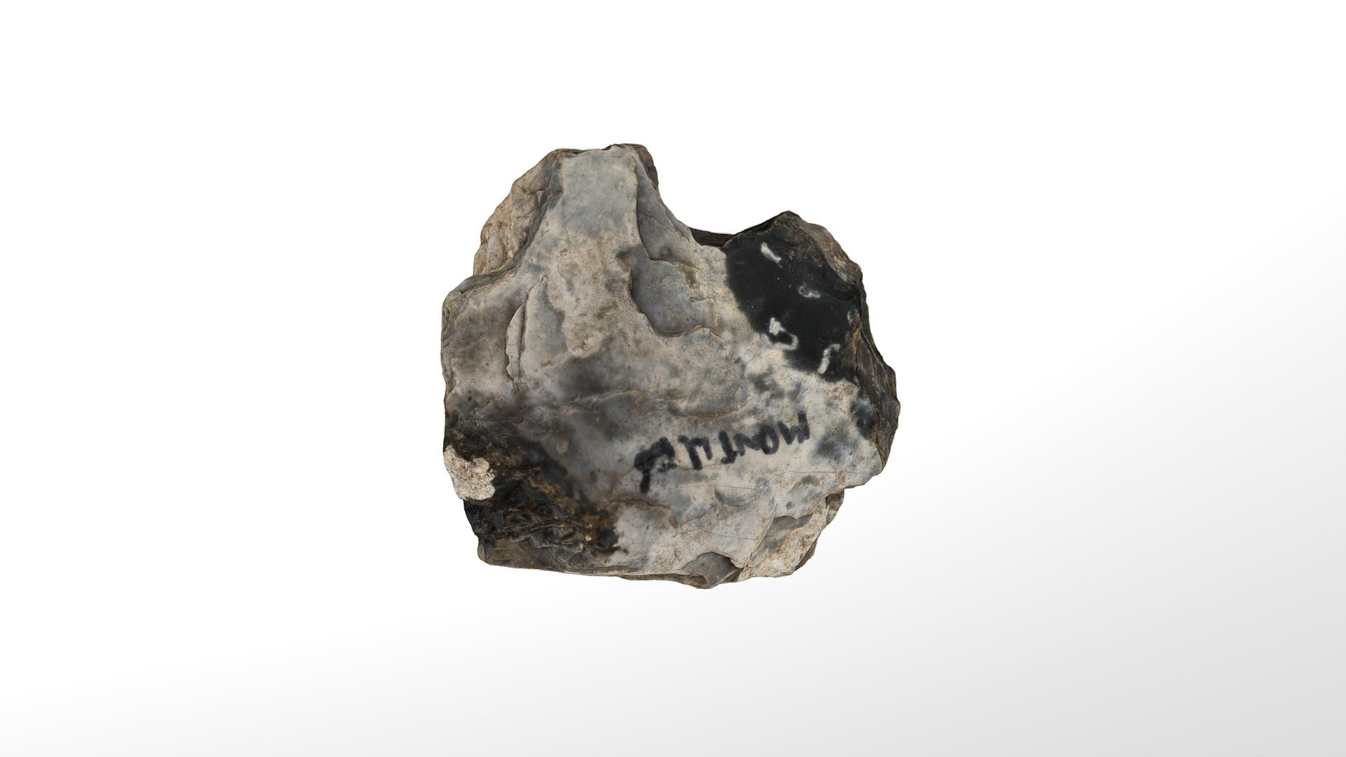 Flint nodule - 3D model by sancheal [a6a4767] - Sketchfab