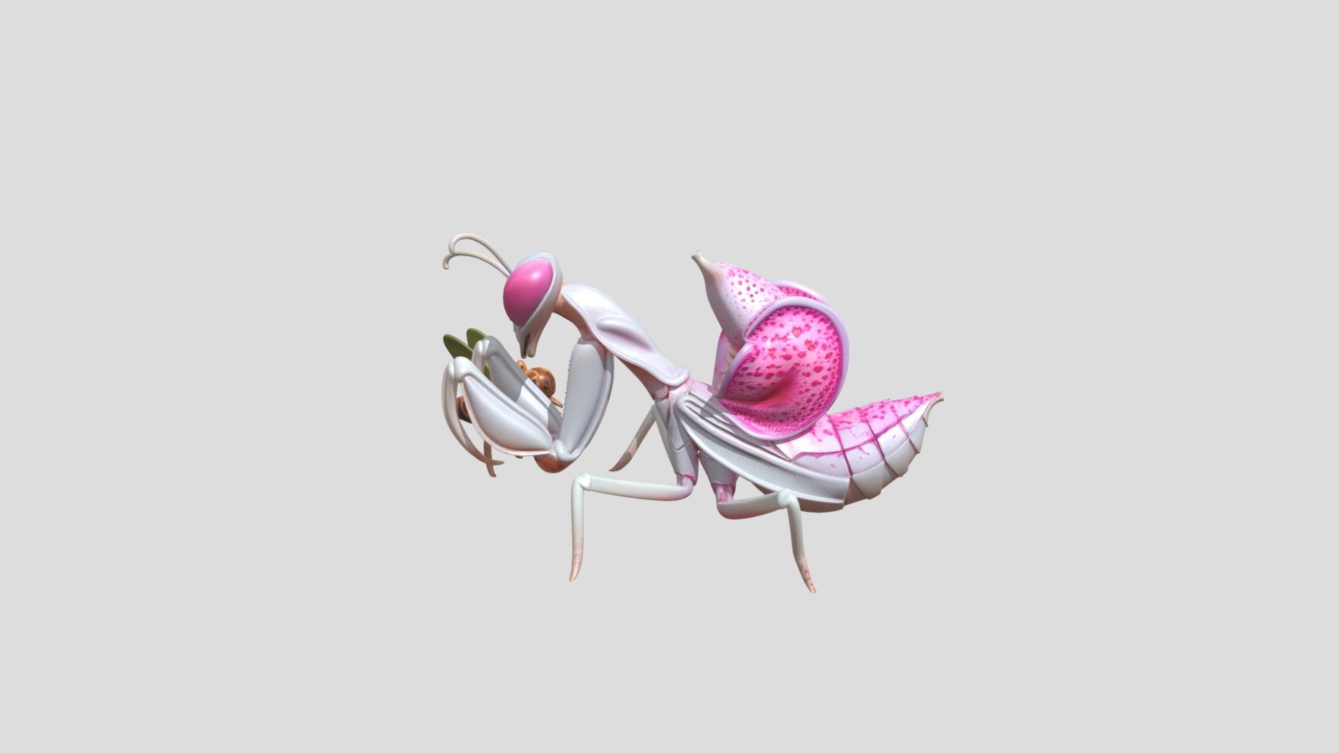 Mantis 2 - Download Free 3D model by alexanderperezamaya9 [a6a5f54 ...