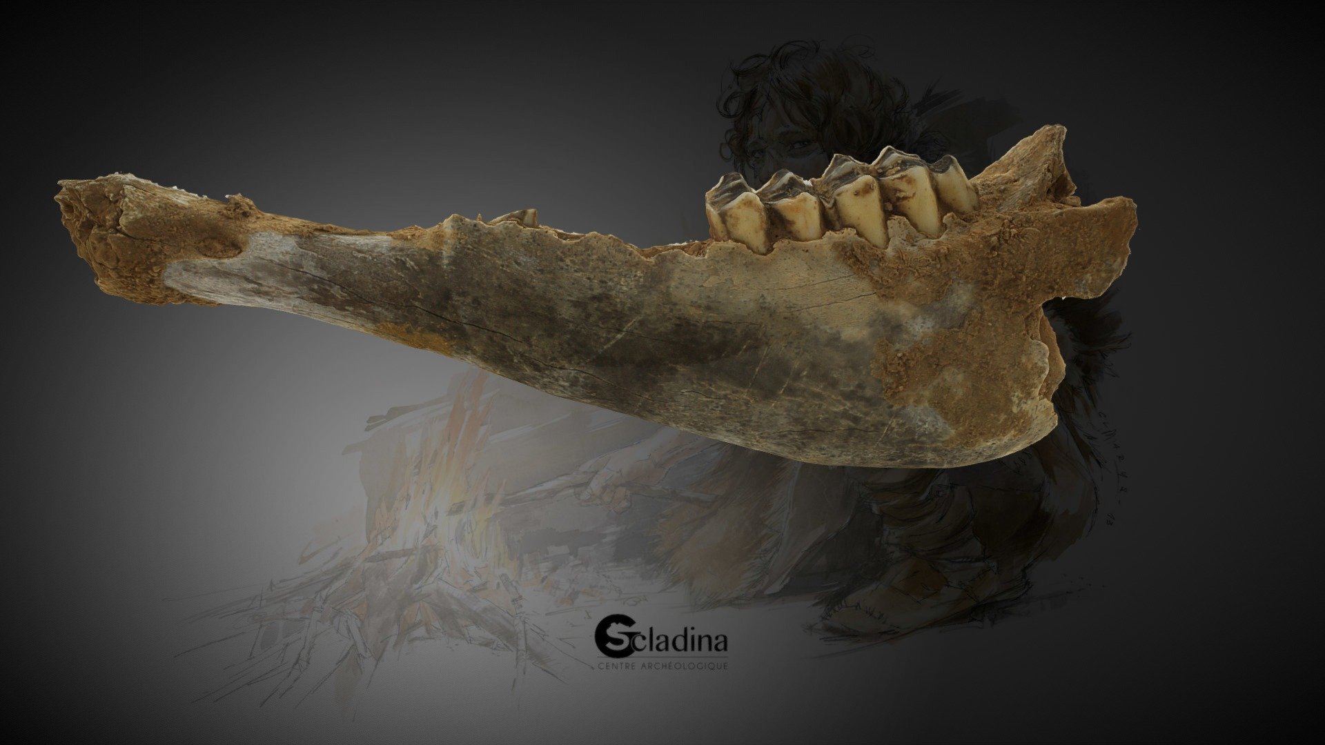 Reindeer mandible with cut marks (SC2018-4-4) - 3D model by scladina ...
