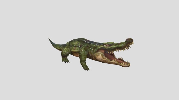 Crocodile 3D models - Sketchfab