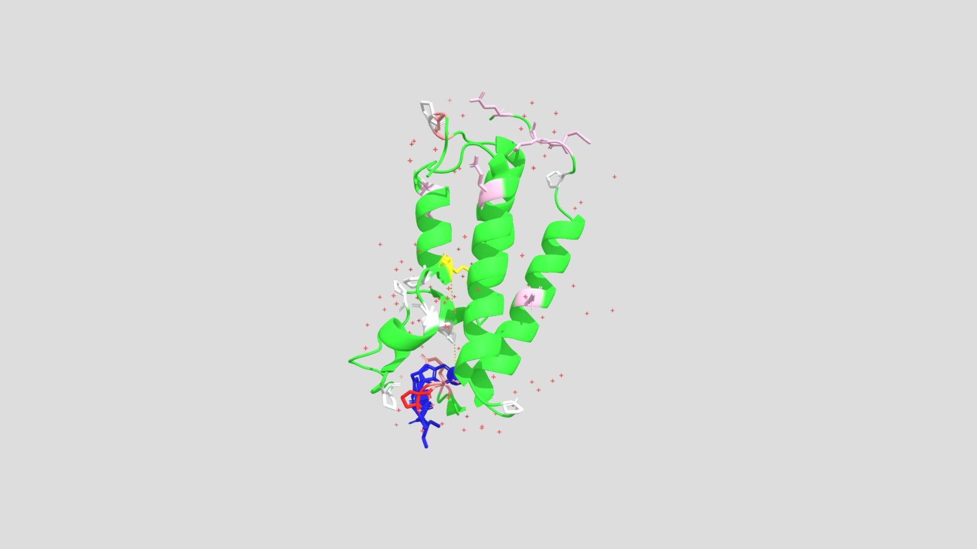 artificial cyclic peptide 3.1C - 3D model by cynthia76973 [a6b3d6a ...