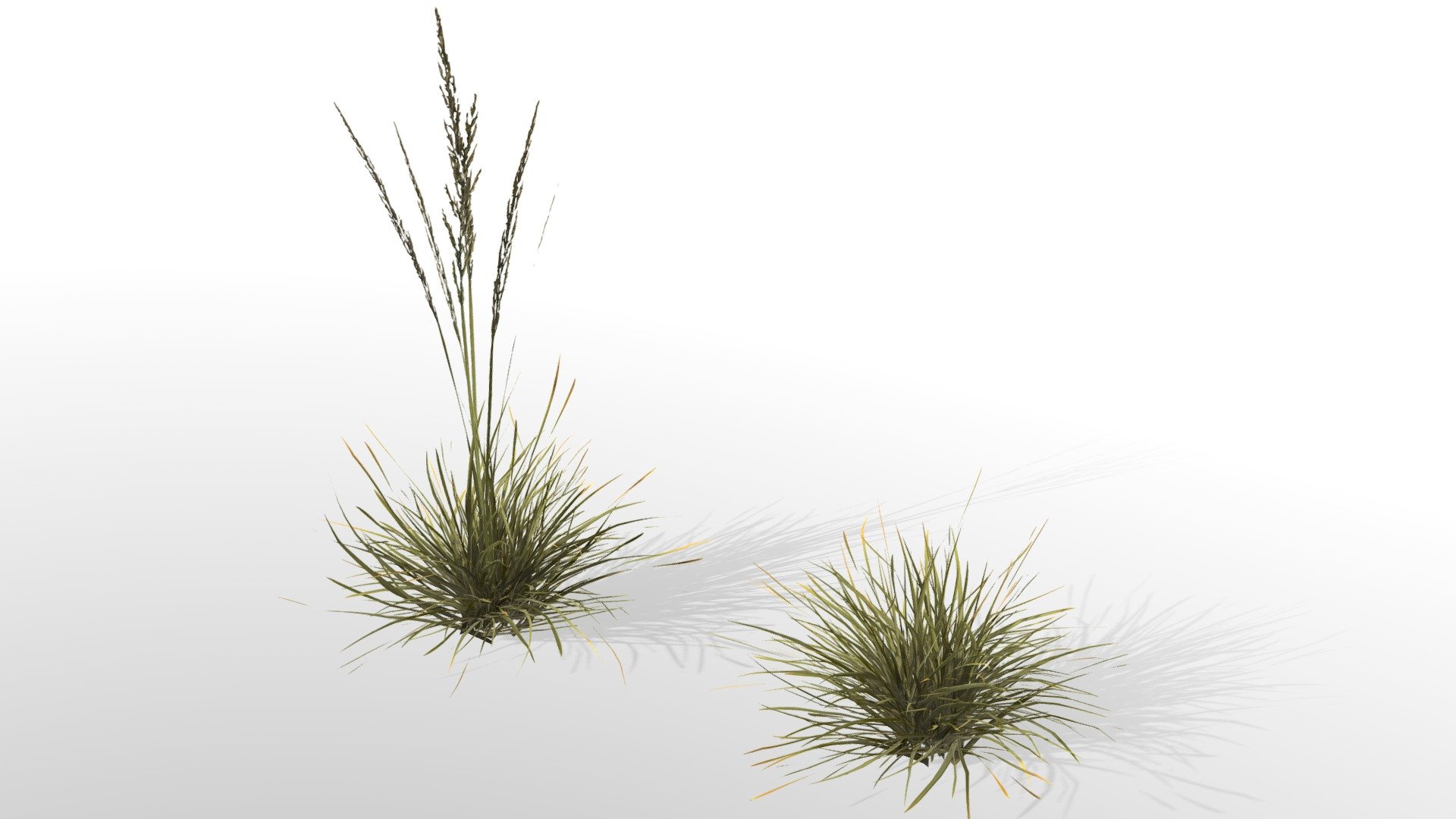 Bush grass clump game ready - Buy Royalty Free 3D model by ...