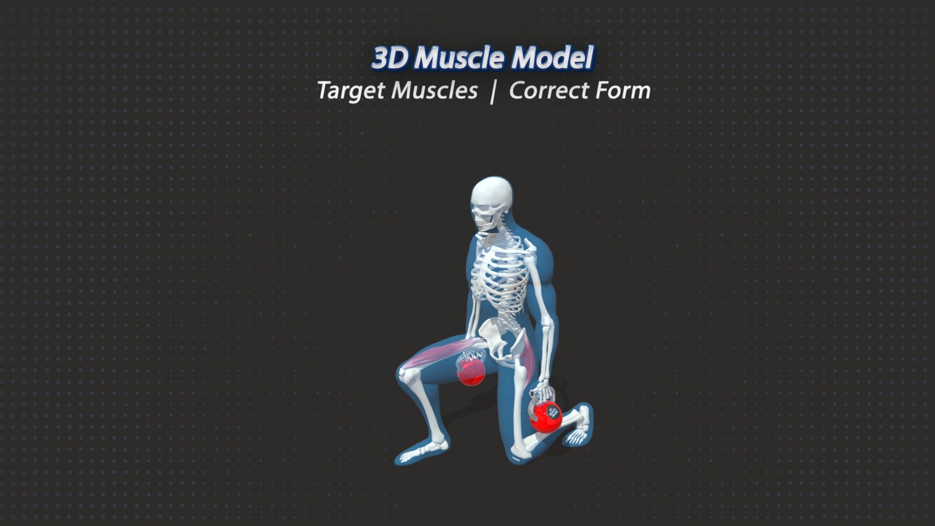 69. Kettlebell Walking Lunges - 3D model by Mike - 3D Muscle Model (@mikeshortall1991) [a6b8210 ...