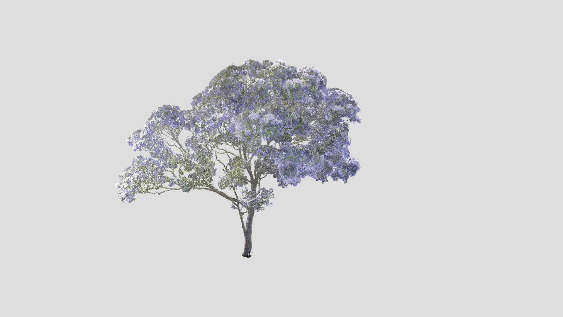 Tree Point Cloud - Buy Royalty Free 3D model by magnum_opus (@tree ...