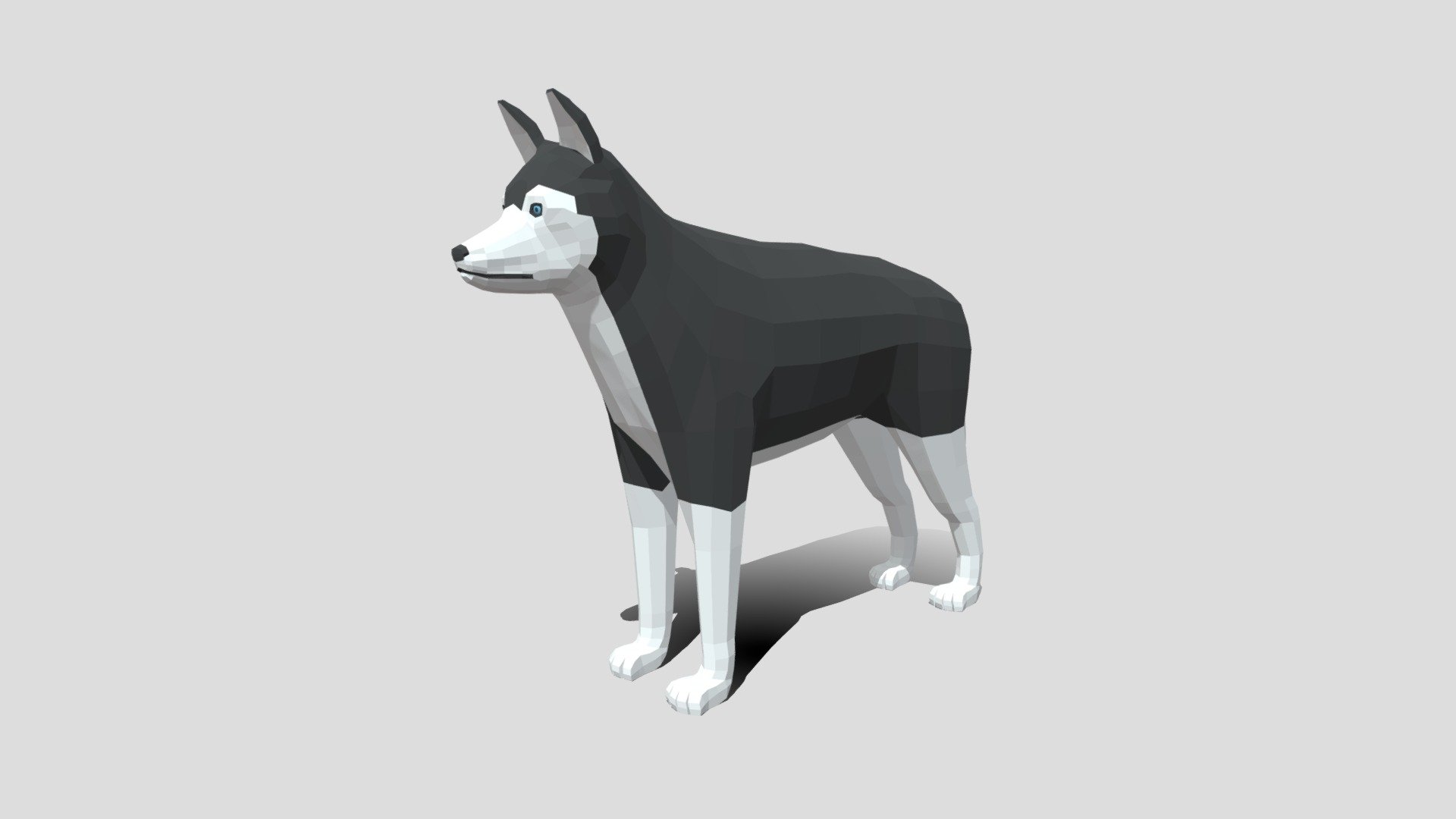 Low Poly Husky - Buy Royalty Free 3D model by chroma3d (@vendol21 ...