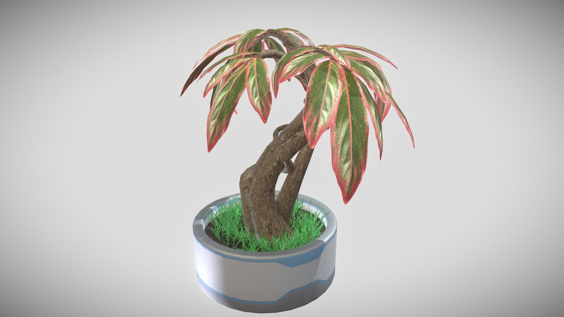 Fantasy Potted Tree - 3D model by mlandon (@mlandon24) [a6c628a ...