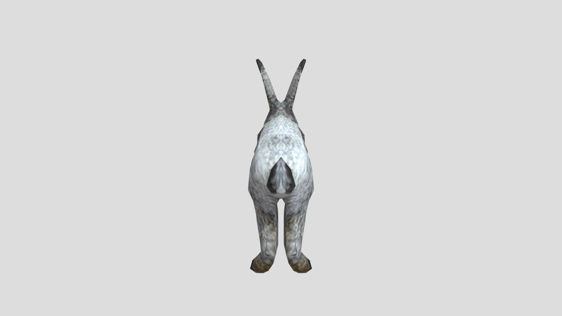 PC Computer - The Elder Scrolls V Skyrim - Rabbi - Download Free 3D ...