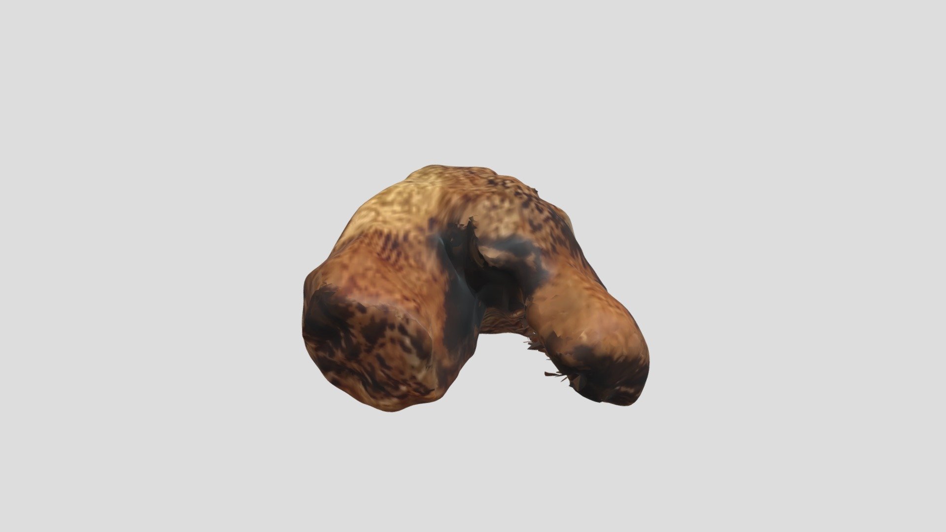 Cnidaria - 3D model by Muhammad Taufiq (@mxhdtaufiq) [a6c9c5b] - Sketchfab