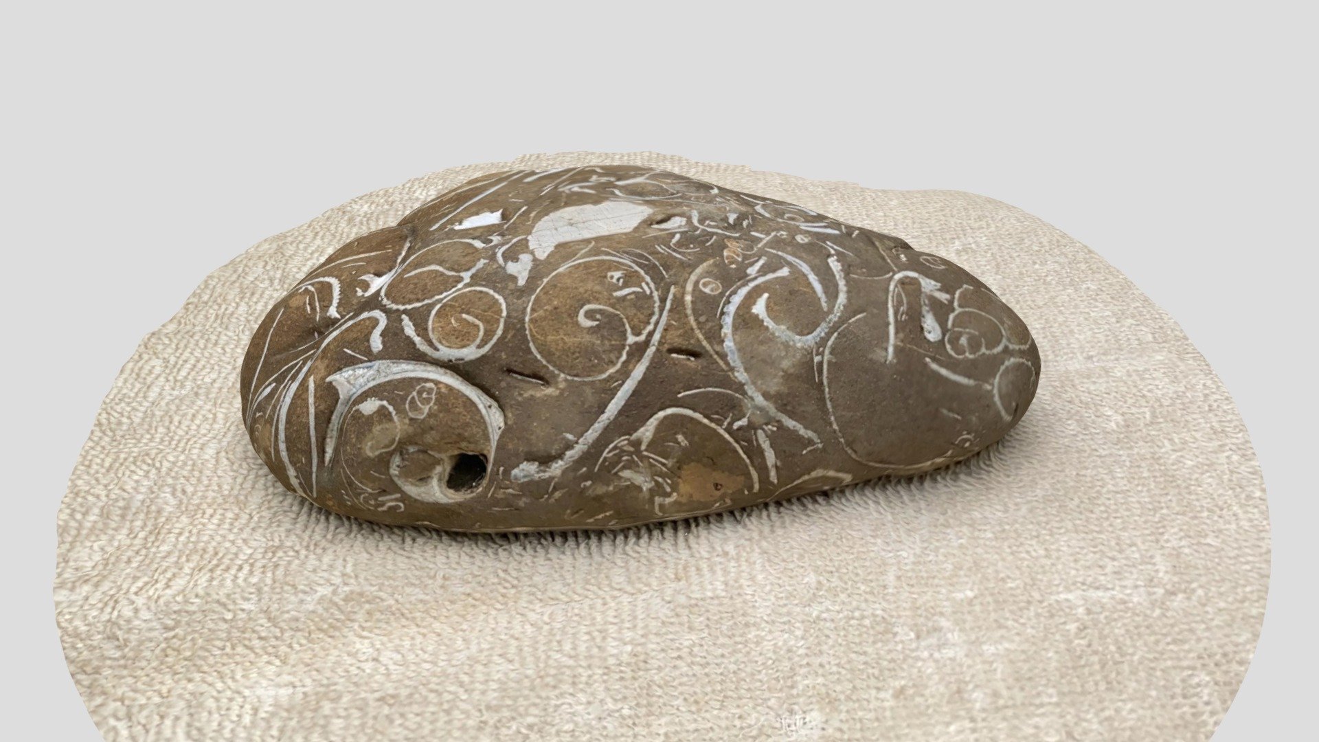 Shell hash - Download Free 3D model by trclifton [a6cf1da] - Sketchfab