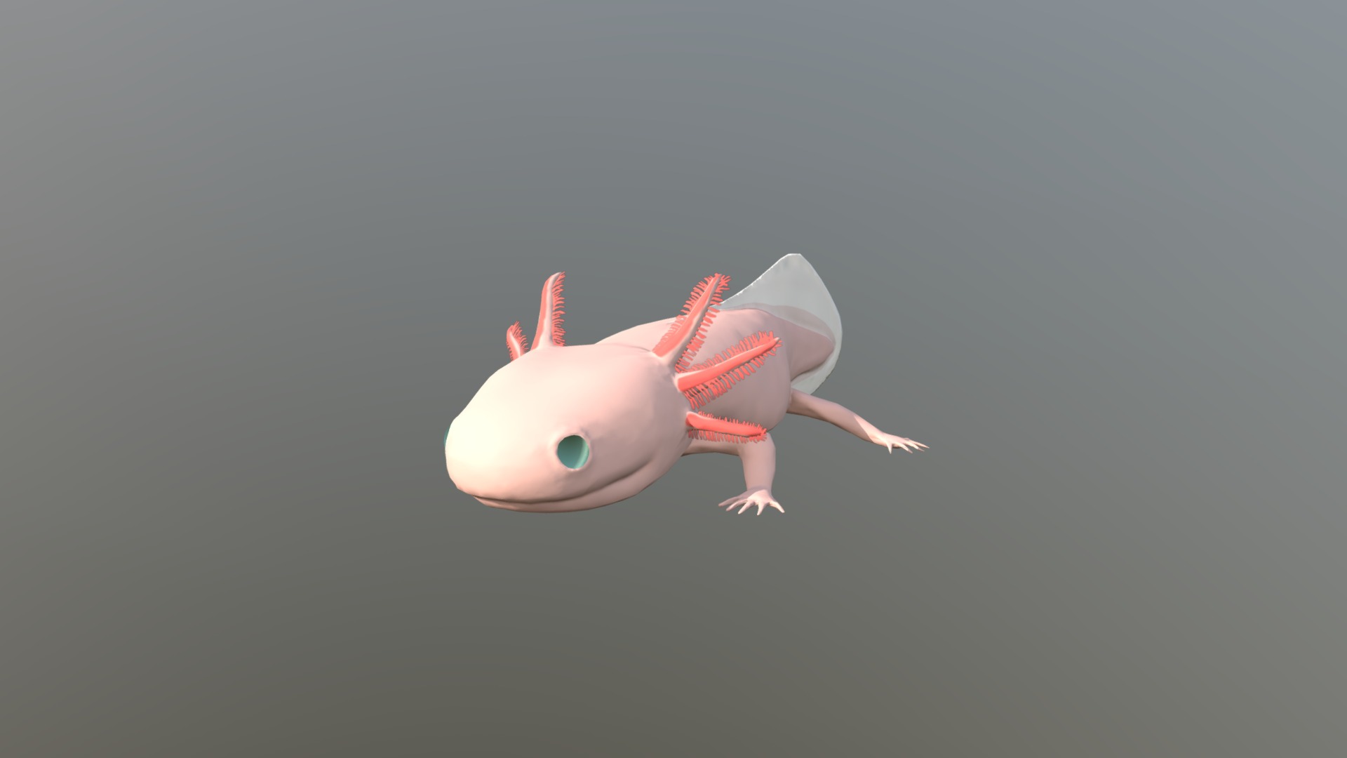Axolotl - 3D model by Daniel-Marcel Reinders (@DonWippo) [a6d80ff ...