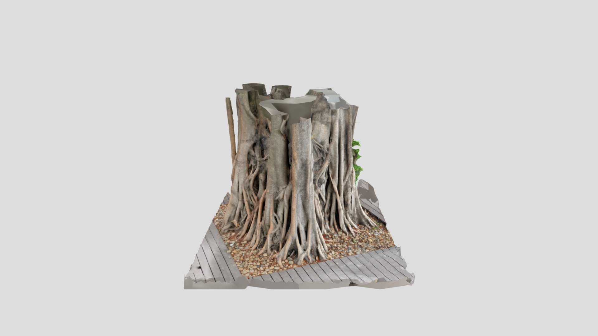 Tree millenium hilton - Download Free 3D model by anorakblau [a6d9bed ...