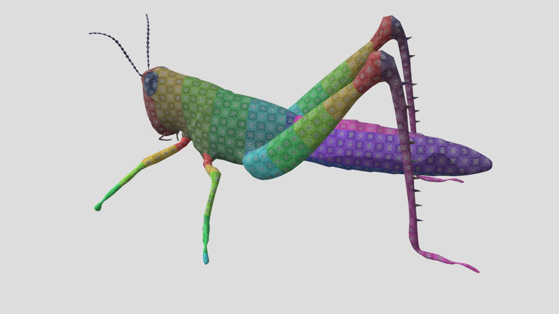 Japanese Locust - Buy Royalty Free 3D model by NatalieV [a6deeac ...