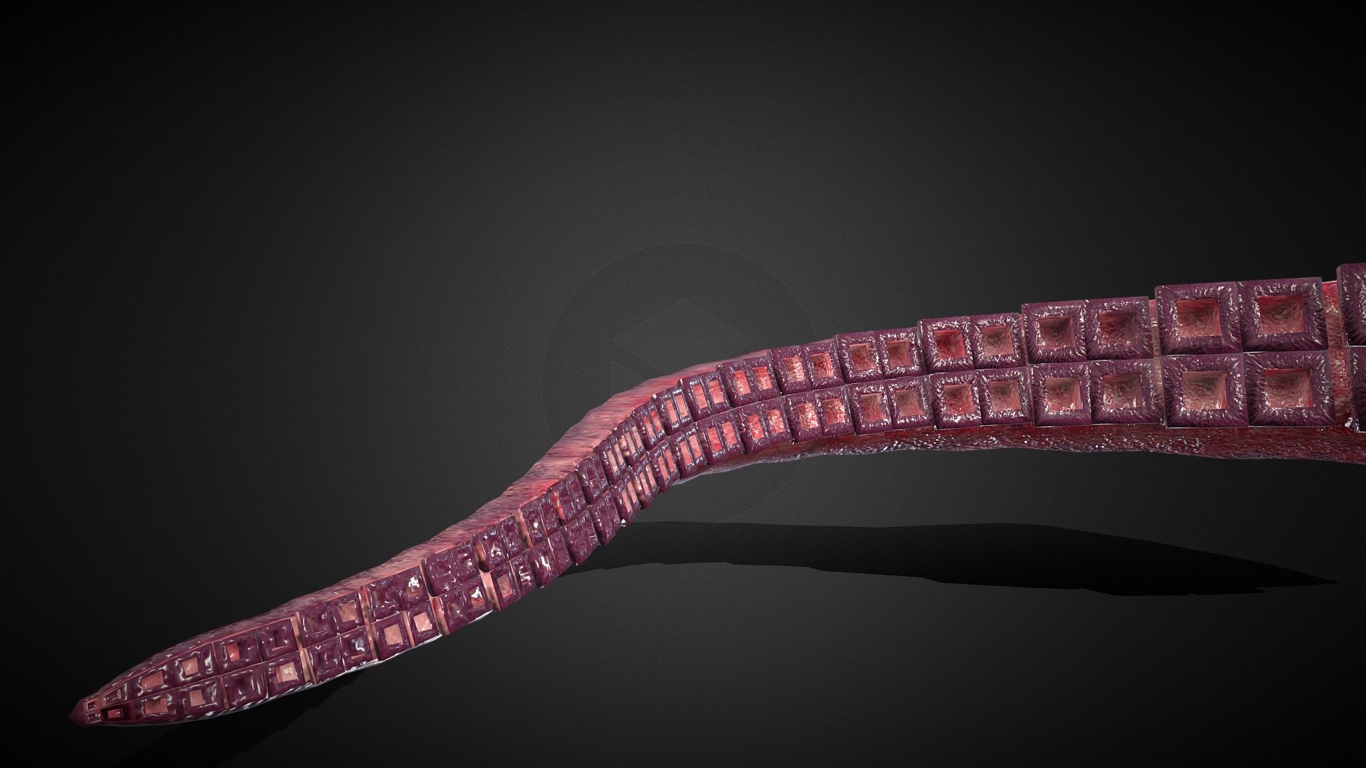 Octopus Arm Rigged & Animated - 3D model by MooniTee [a6dfc93] - Sketchfab