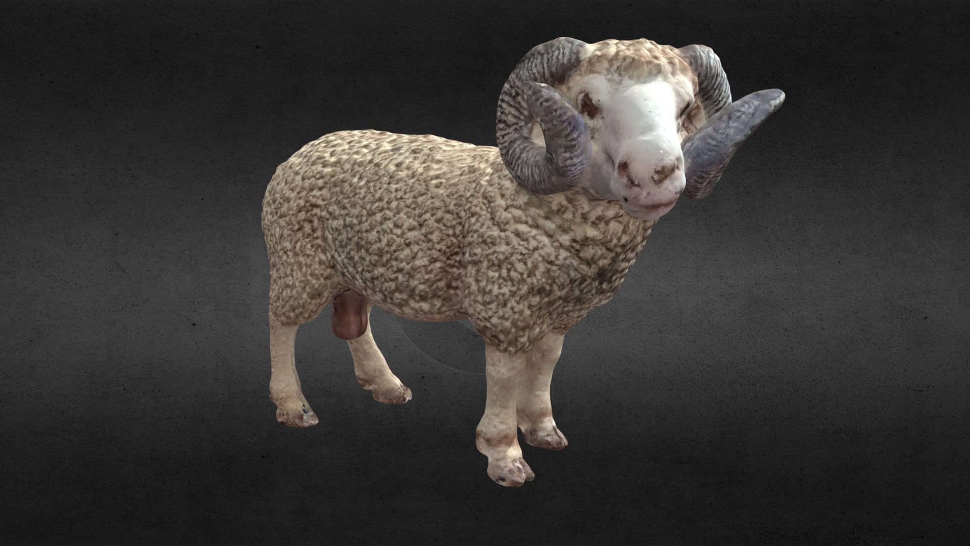 Widder RPP2 - 3D model by Make (@makemagazin) [a6e3f0f] - Sketchfab