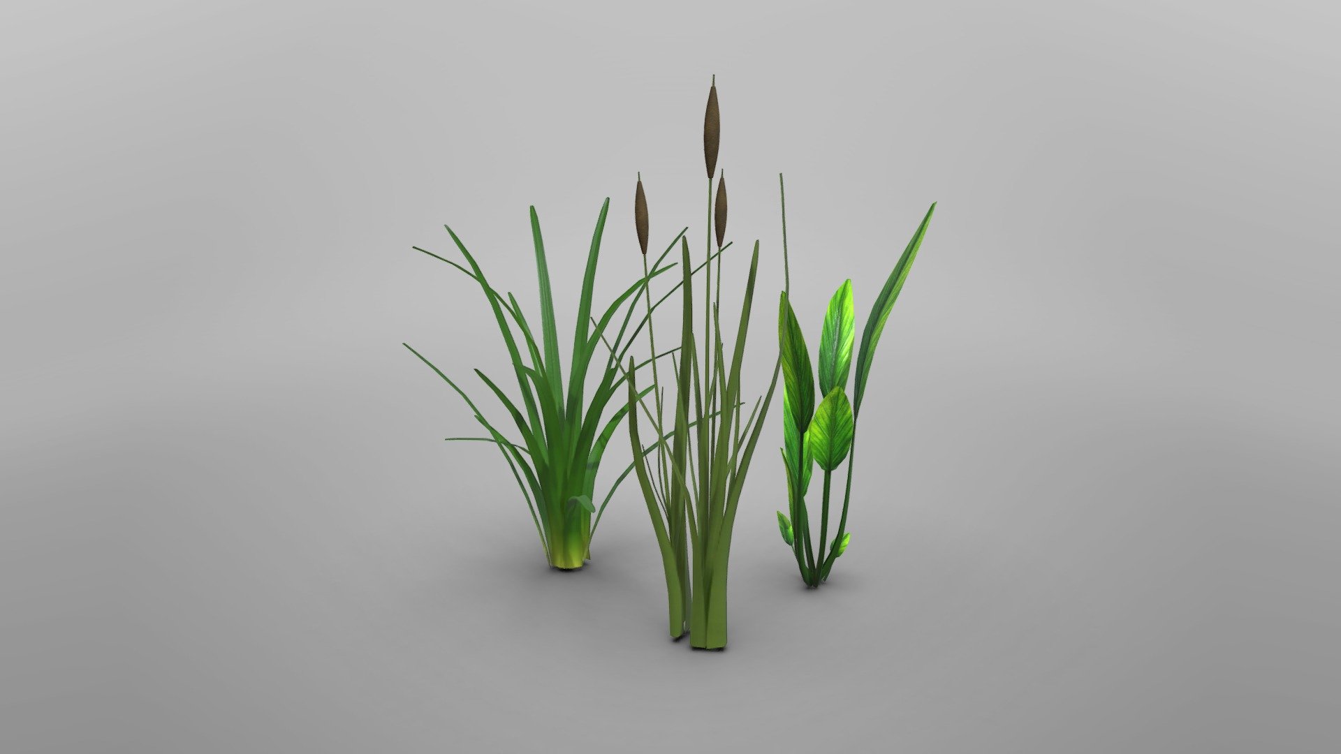 Underwater plant pack - Download Free 3D model by assetfactory [a6edeb7 ...