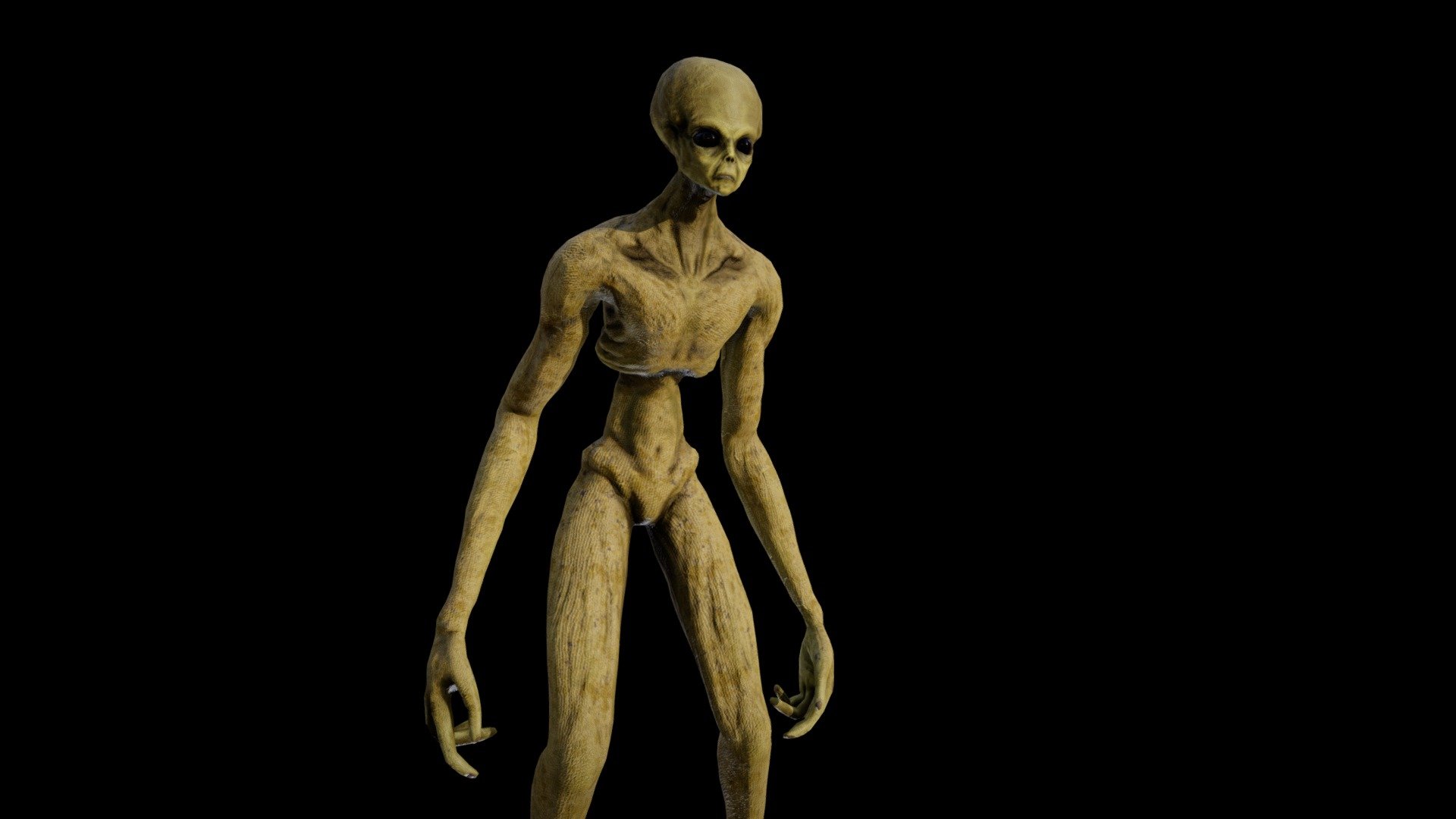 Tall Alien - Buy Royalty Free 3D model by Akinaro [a6ee458] - Sketchfab ...