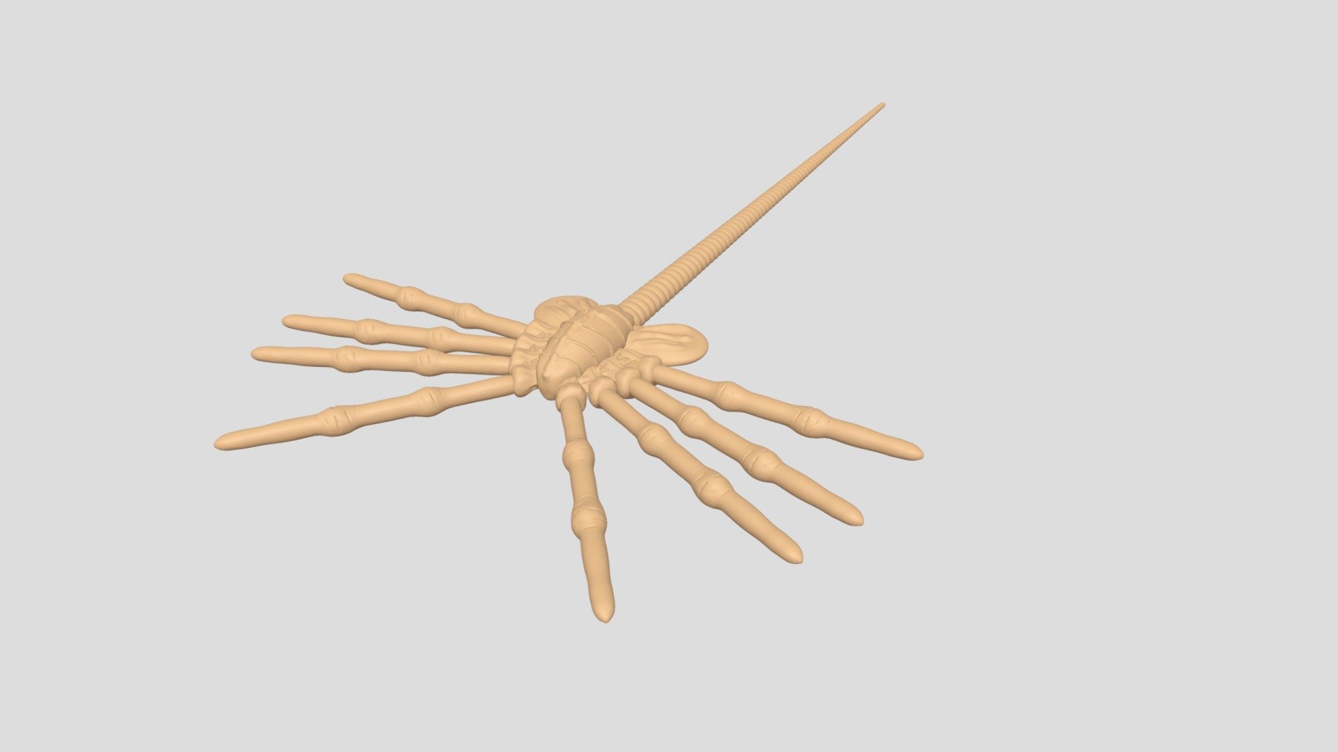 Facehugger 3D model high poly - 3D model by Luxary (@luxary.arxer ...