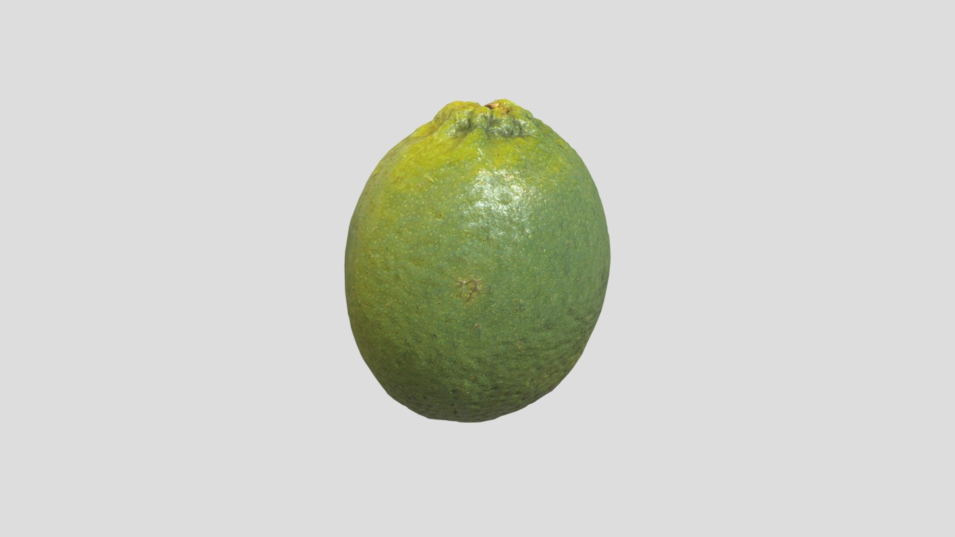 Lime - Download Free 3D model by Luca Brambilla (@luchino.brambilla96 ...