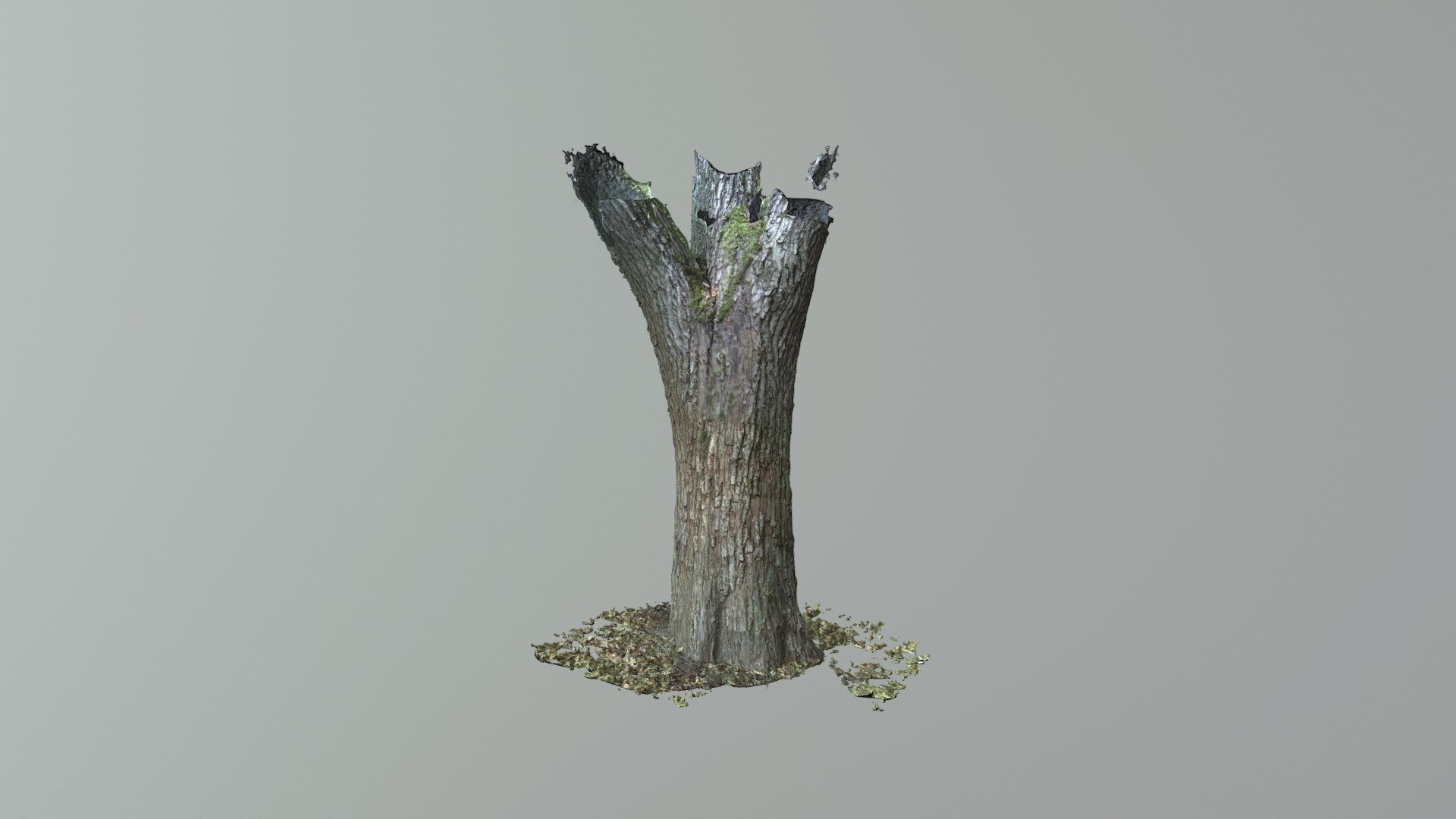 Tree - Download Free 3D model by Matthias Tiidelepp (@MatthiasTiidelepp ...