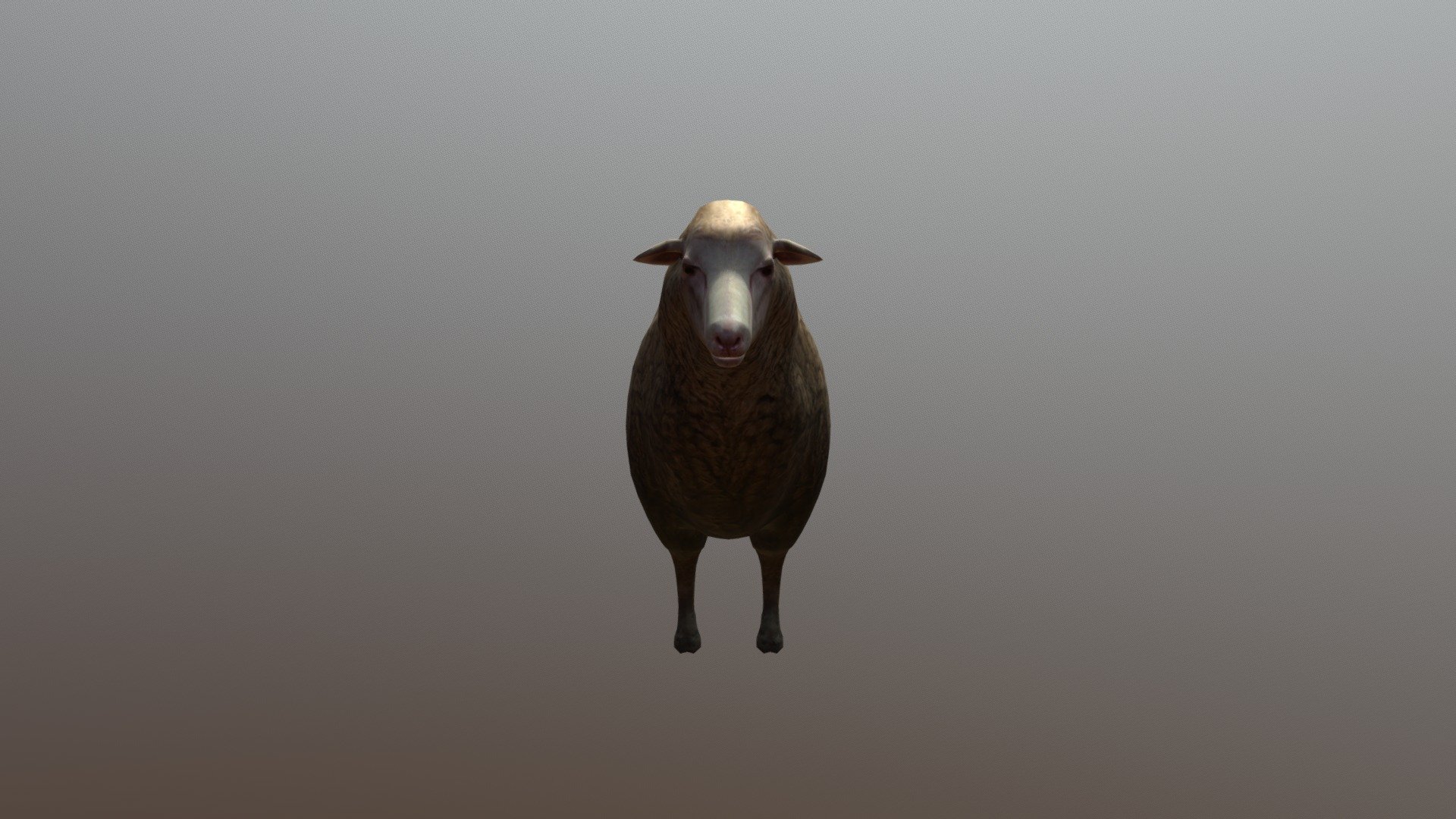 Sheep - 3D model by Virtual Reality (@simulanis) [a6f8863] - Sketchfab