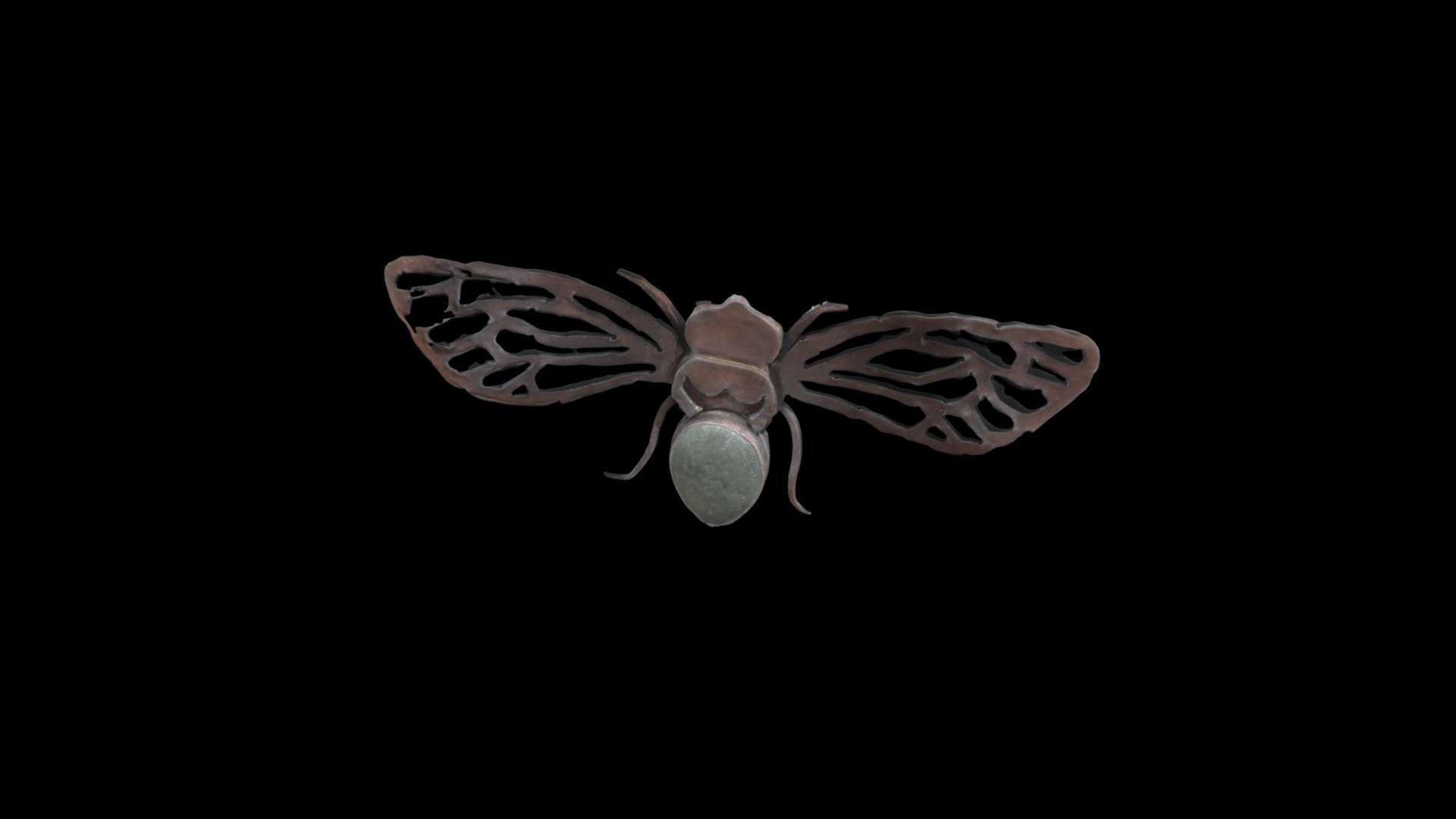 Cicada - 3D model by mgmoeller [a70dbbd] - Sketchfab