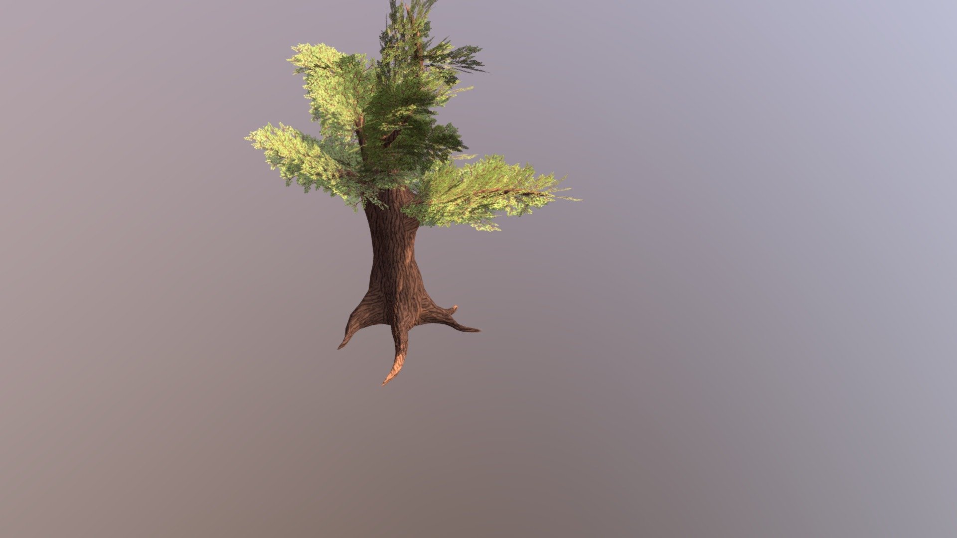 Tree - 3D model by davidohren [a714966] - Sketchfab
