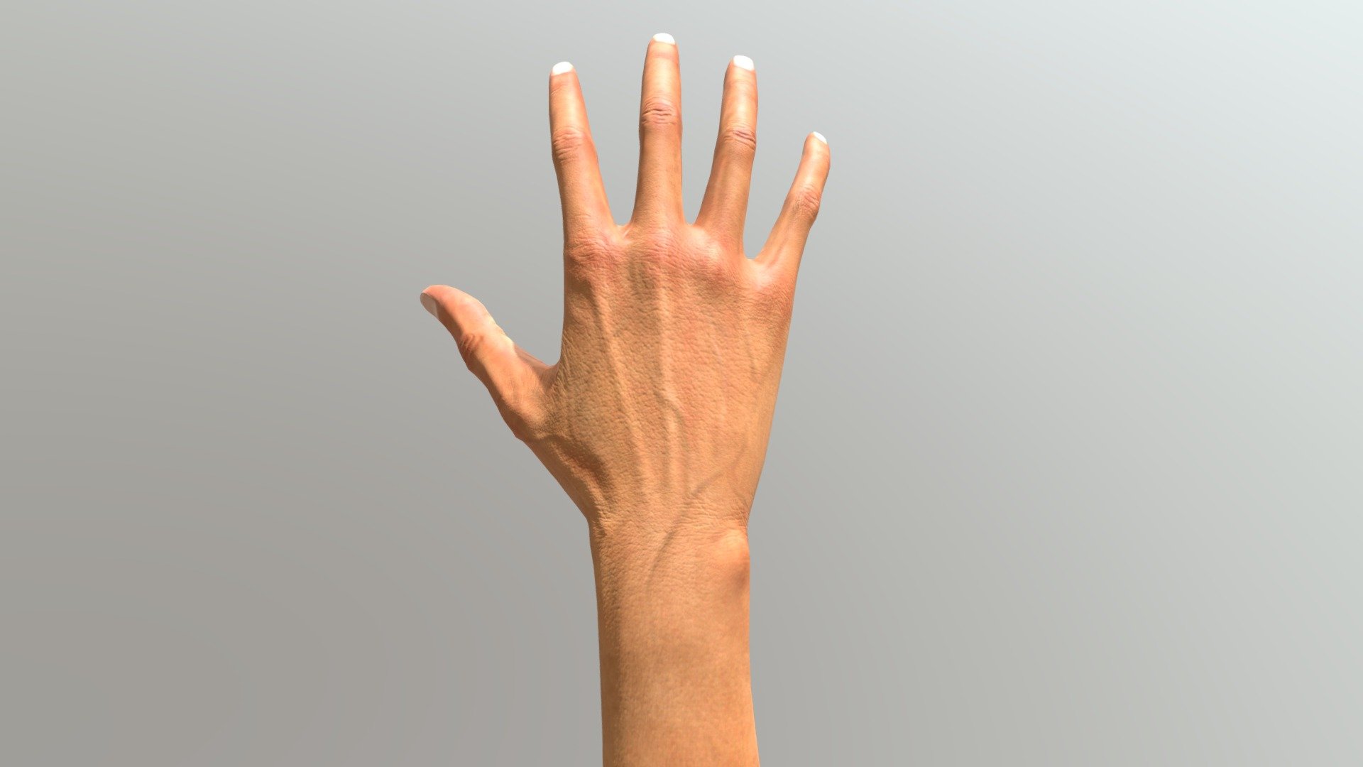 FemaleHand - 3D model by TituDebnath [a718c7a] - Sketchfab