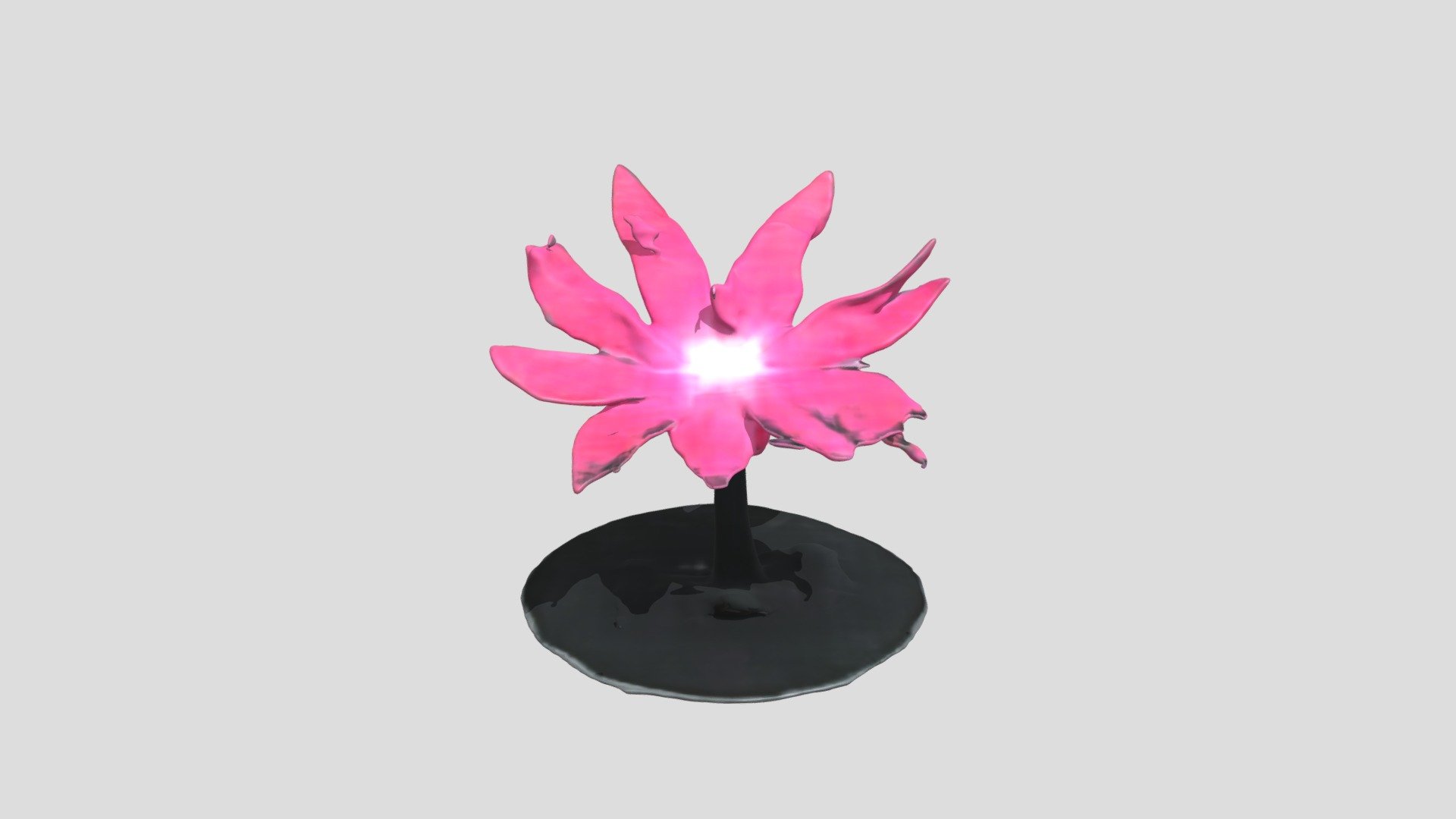 Flore rosa - Download Free 3D model by lautaropasto [a719fd7] - Sketchfab