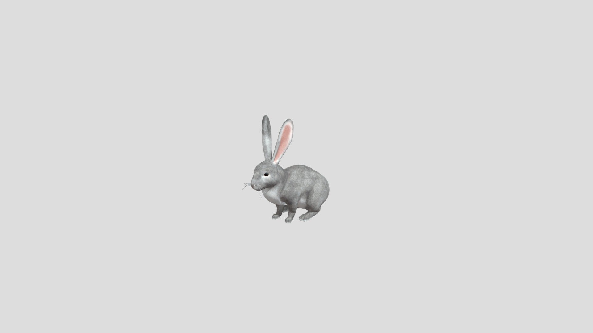 Rabbit - Buy Royalty Free 3D model by Phil3D (@philosophie) [a7208a0 ...