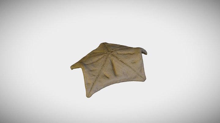 Cushion-star 3D models - Sketchfab