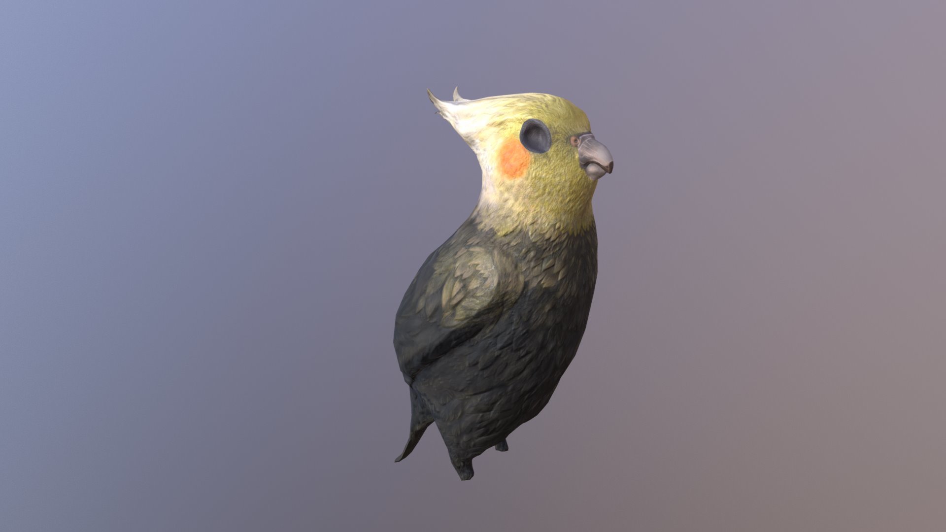 Birdy - 3D model by Pauline Charpentier (@PaulineCharpentier) [a7286e9 ...