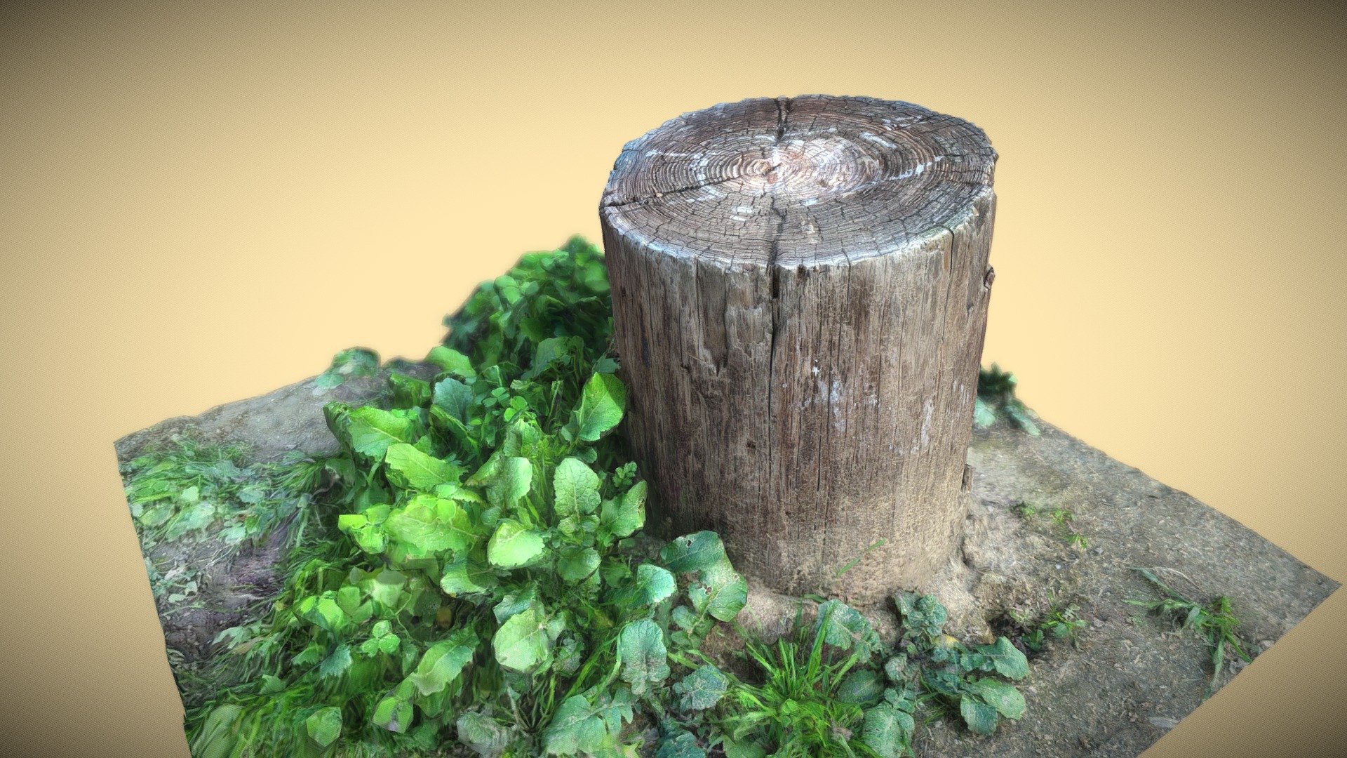 Stump - 3D model by joshbeavz [a72b712] - Sketchfab