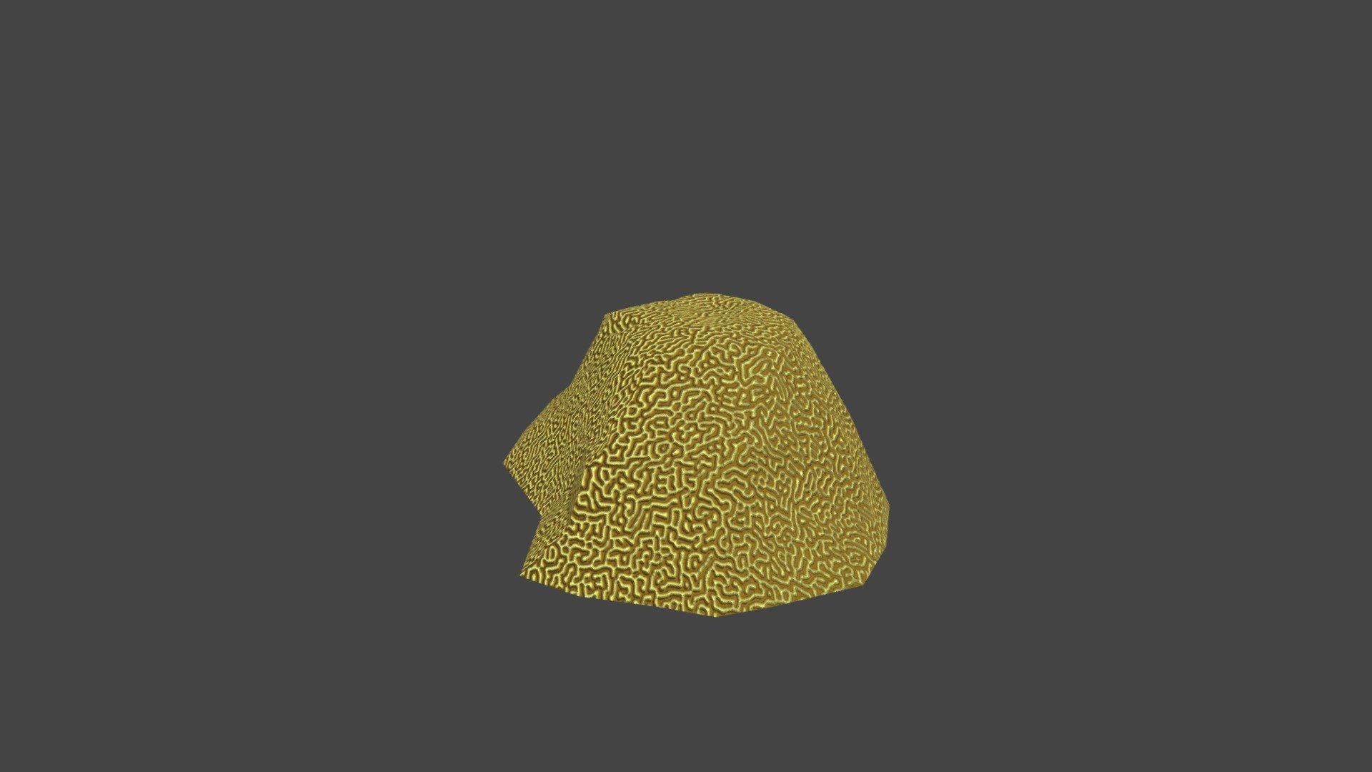 Brain Coral 1.1 - Download Free 3D model by jazz-the-giraffe [a734036 ...