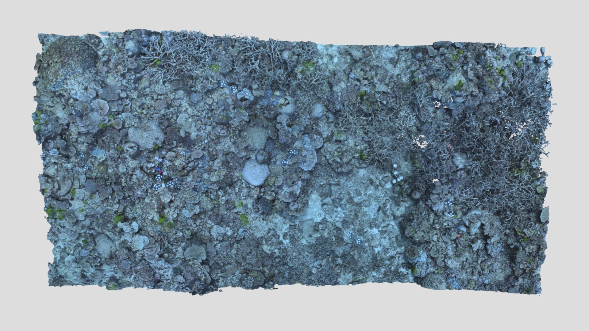 Heron_FR2D_P1_202105 - Download Free 3D model by EcoRRAP (@AIMSEcoRRAP ...