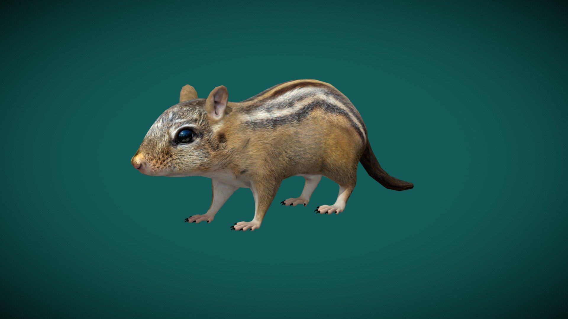 Chipmunk Tamias (lowpoly) - Buy Royalty Free 3D model by ...