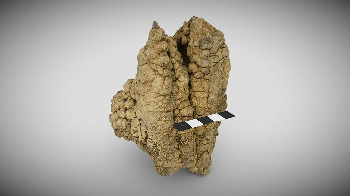 Stromatolite 3D models - Sketchfab
