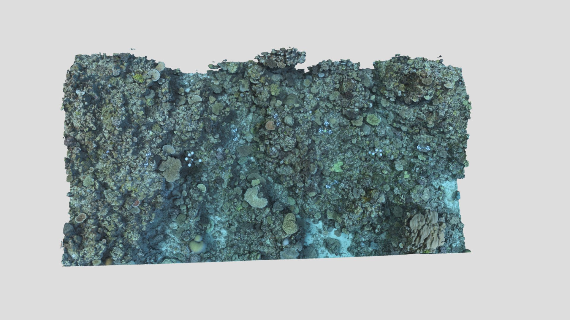 Davies_FR1S_P3_202301 - 3D model by EcoRRAP (@AIMSEcoRRAP) [a756dfa ...