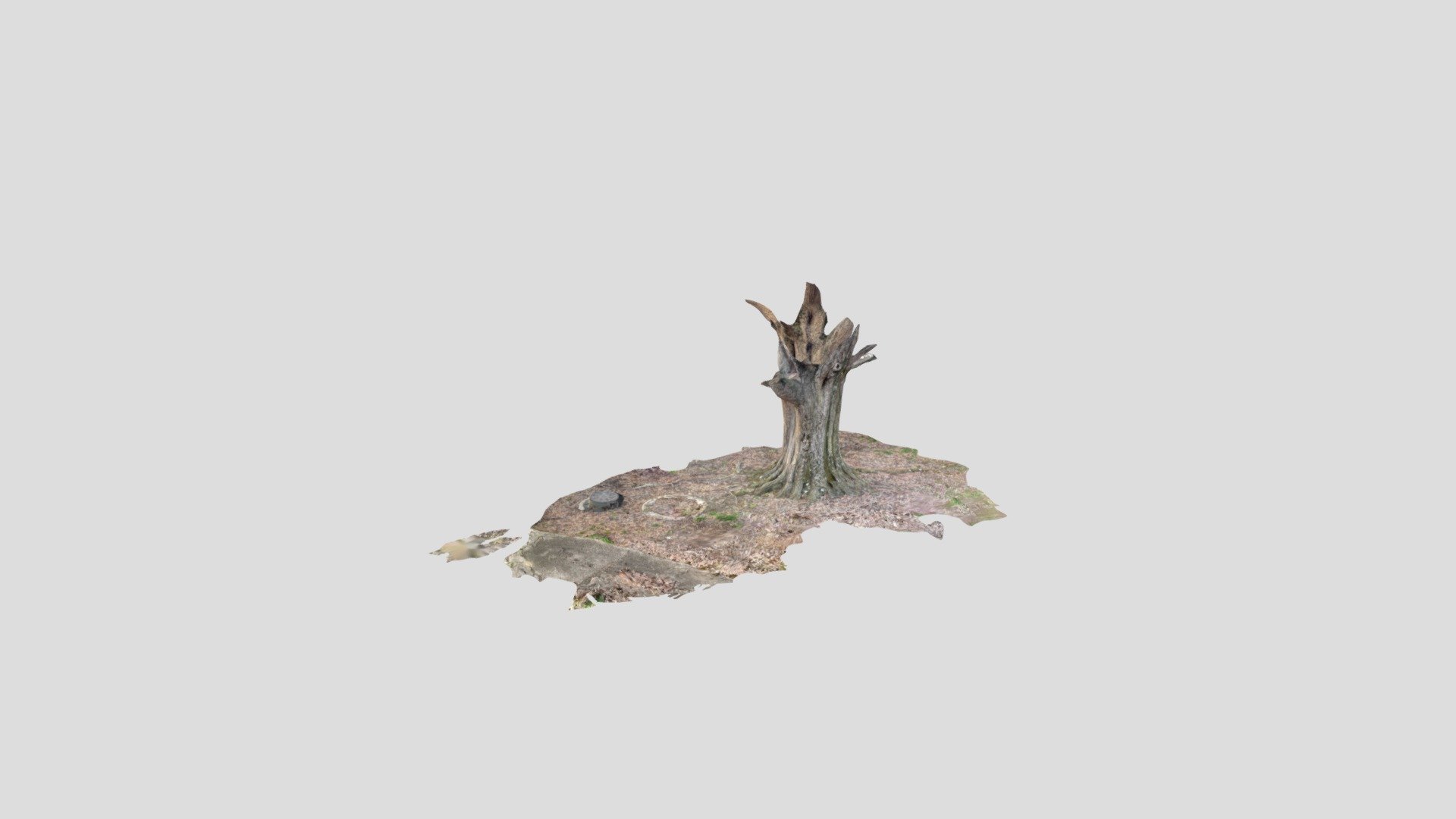 Knarly Tree - Download Free 3D model by Brent.Bowers [a758ec2] - Sketchfab