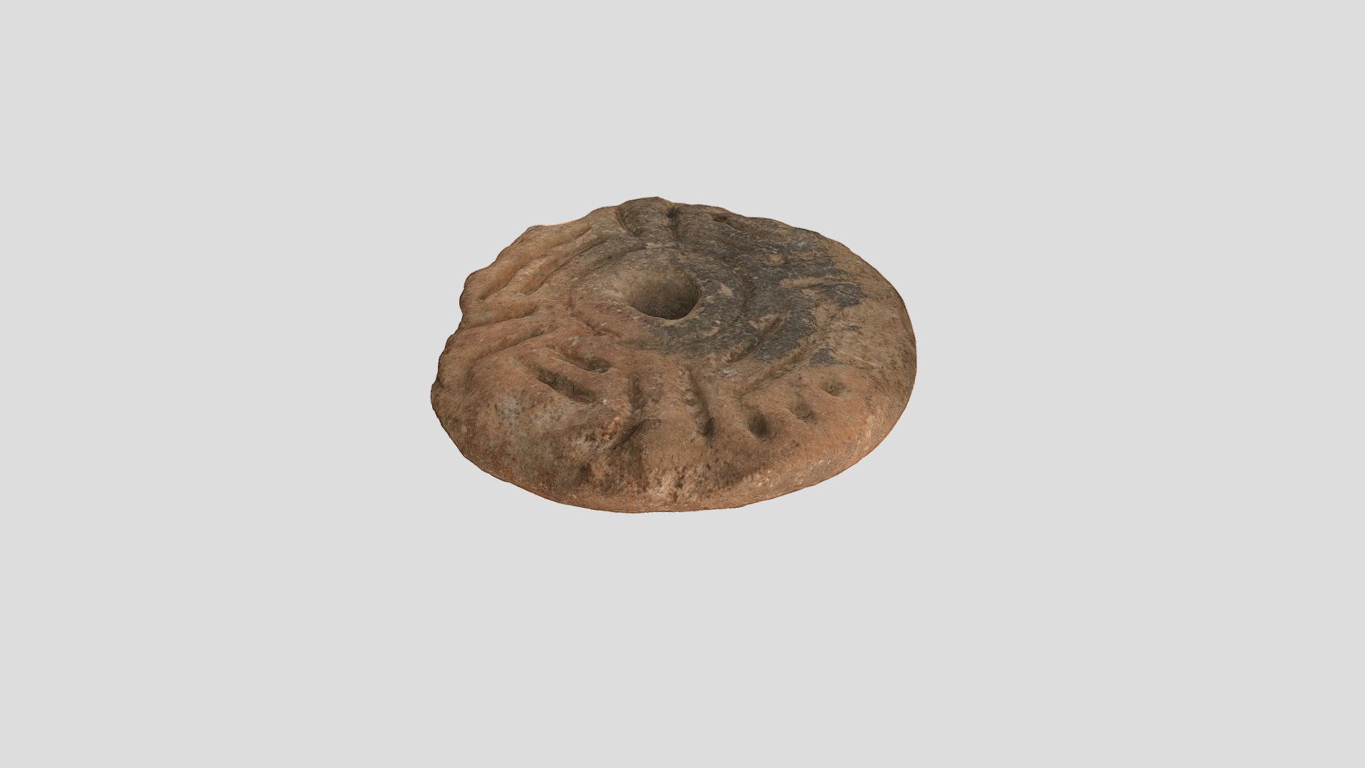 YPM ANT.131808 - Download Free 3D model by Yale Peabody Museum ...