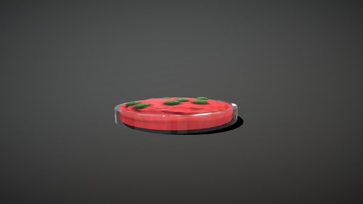 Bacteria 3D models - Sketchfab