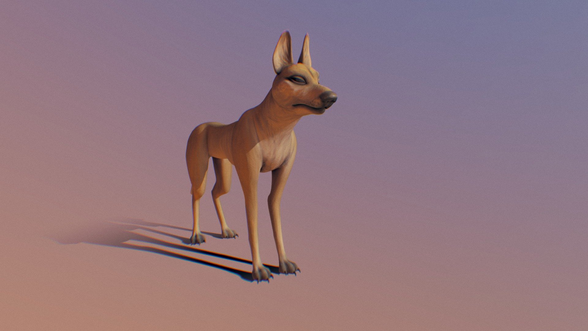 Dingo - 3D model by LaikaRandall (@lachlanrandall) [a764123] - Sketchfab