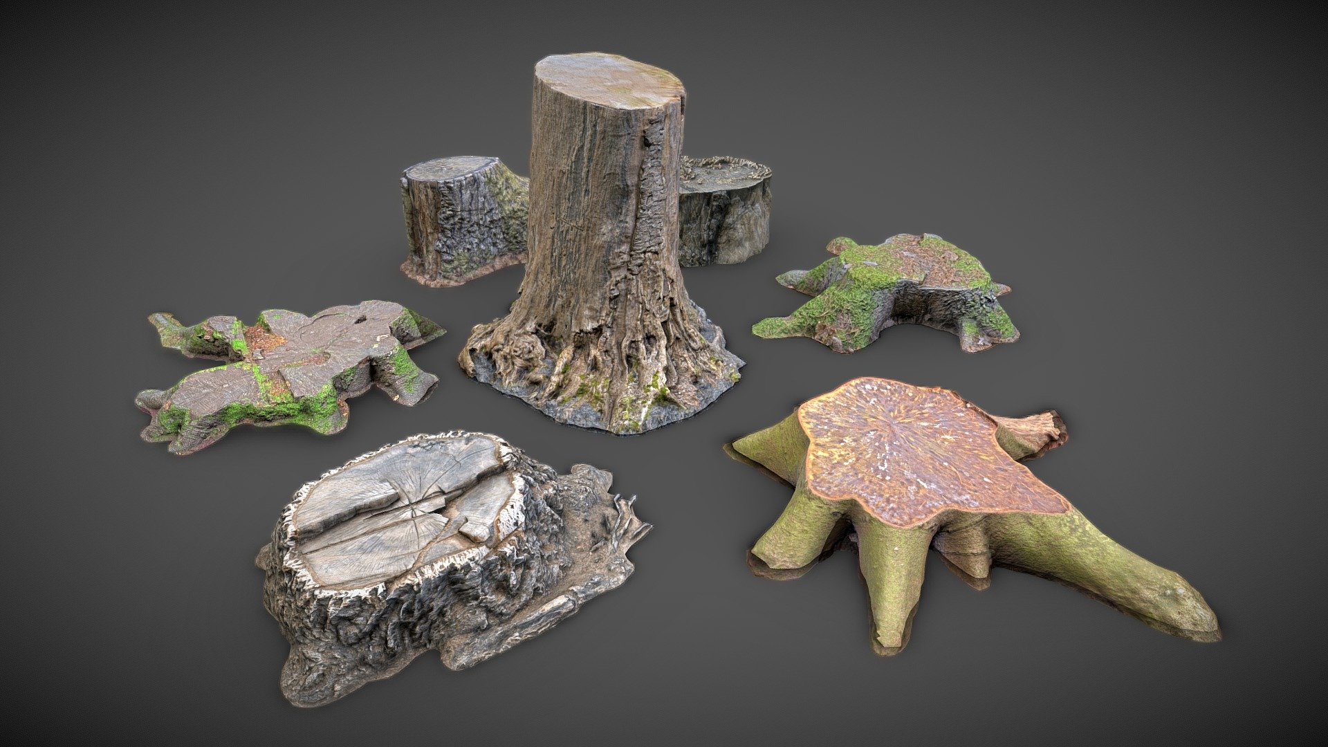 Tree Stumps - Buy Royalty Free 3D model by Realtime (@gipapatank ...