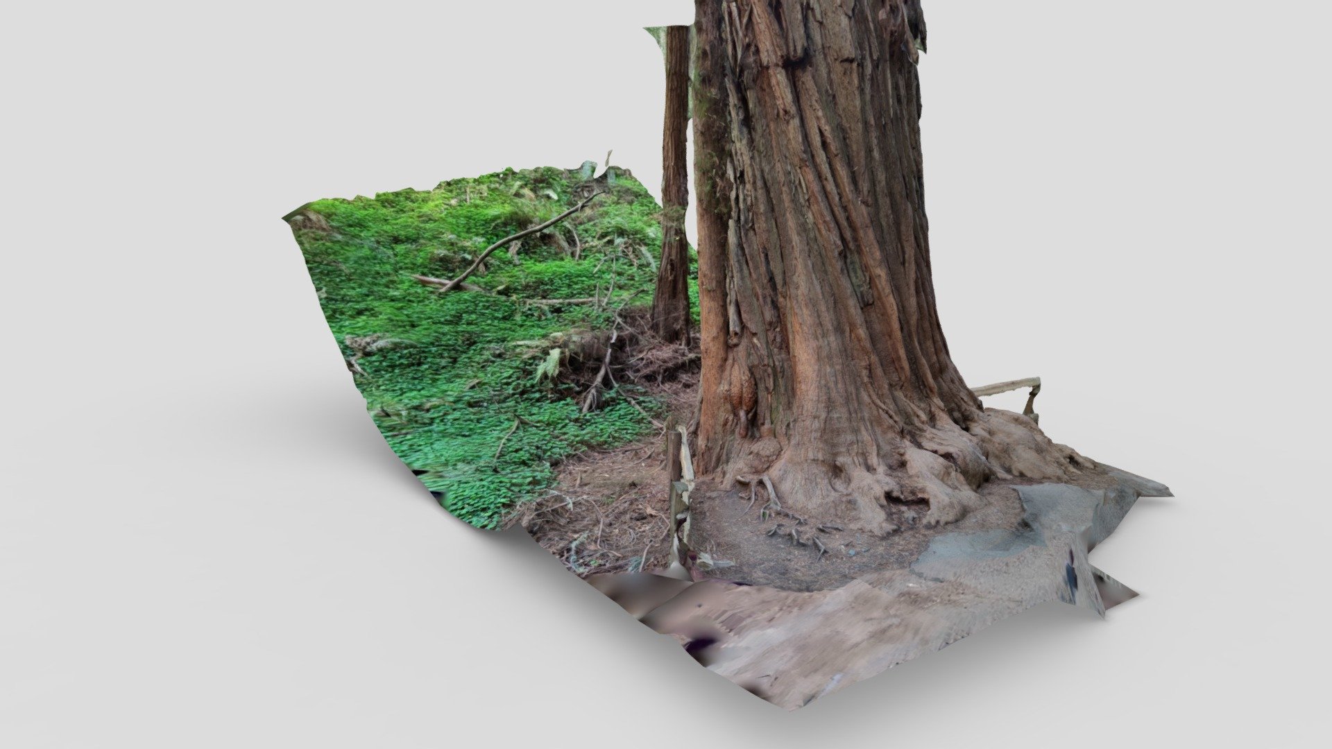 Muir Woods - Redwood 1 - Download Free 3D model by 9of9 [a779106 ...