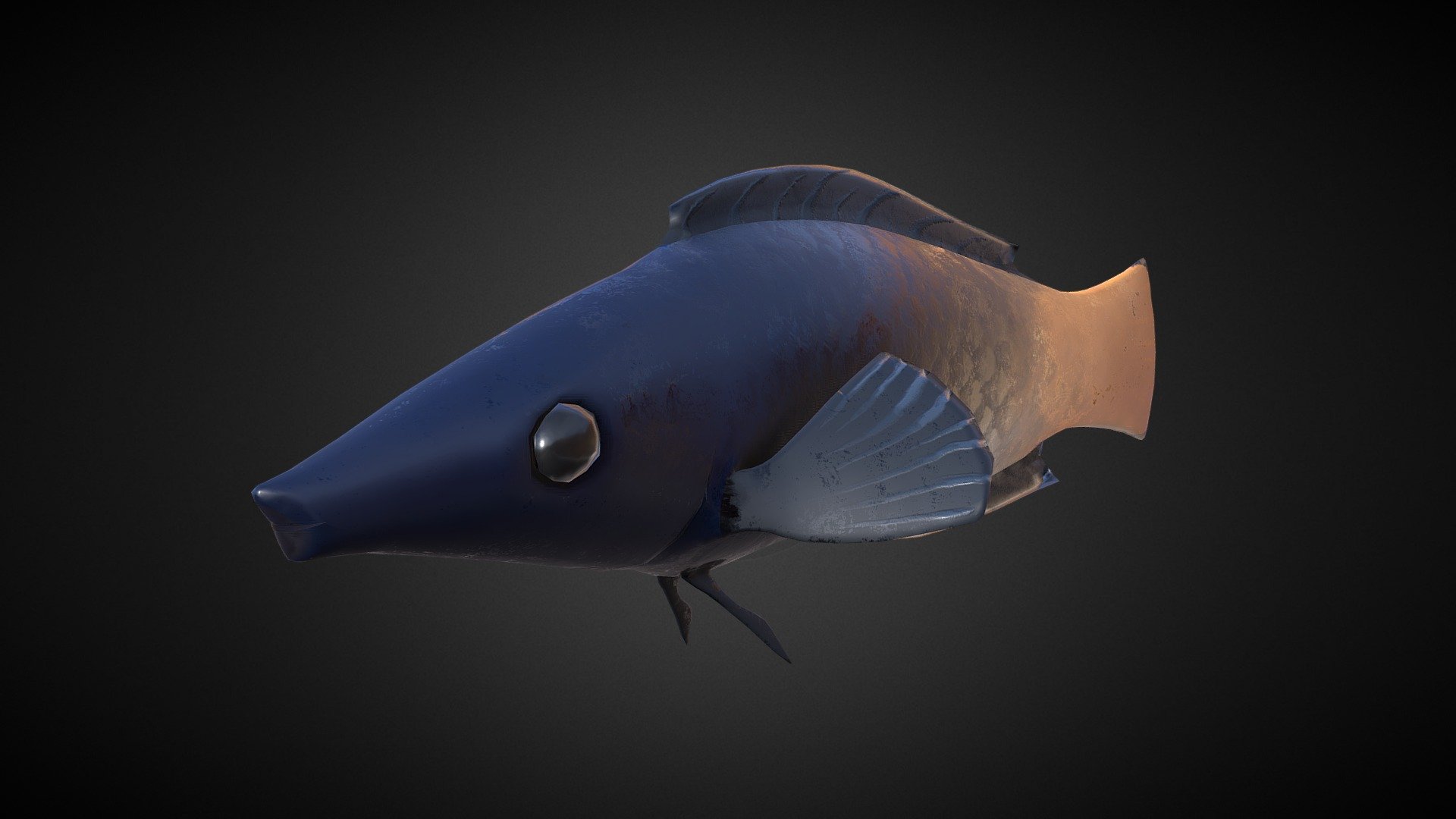 Fish Doctor - 3D model by Armored Interactive (@ychiang6) [a781e16 ...
