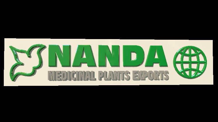 Nanda Logo D - 3D model by Francesco Coldesina (@topfrank2013) [a7856a9 ...