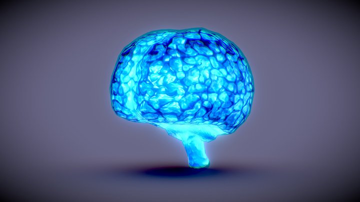 Brain 3D models - Sketchfab