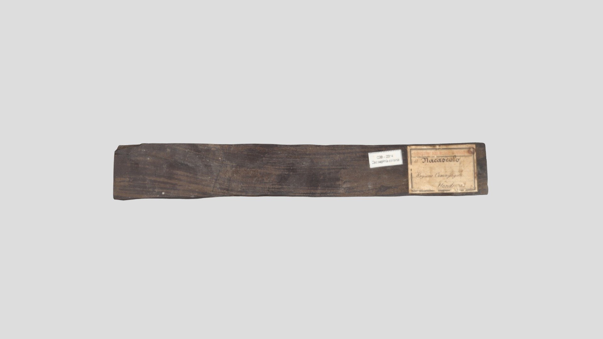 Wood Collection, Xylarium sample #3 - 3D model by SMA-UniGe [a7963d5 ...